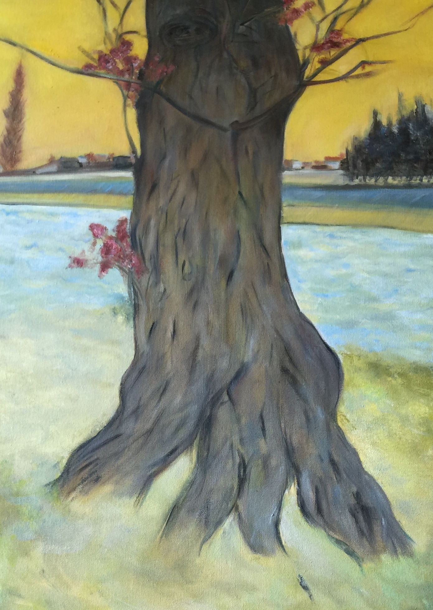 Tree | National September 11 Memorial & Museum