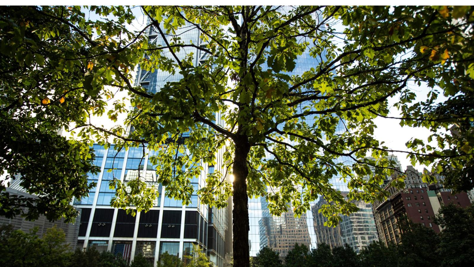 Witnesses and Survivors | National September 11 Memorial & Museum