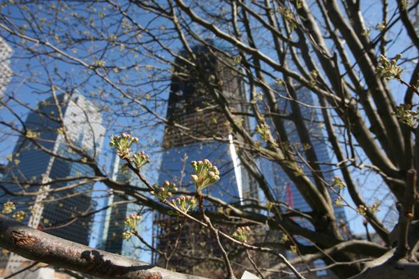 The Lens: Viewing the 9/11 Memorial | National September 11 Memorial ...